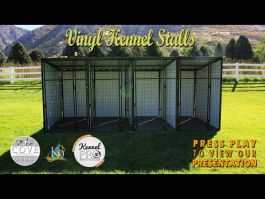 6' X 8' Multiple Vinyl Enclosed Corridor Dog Kennels x7